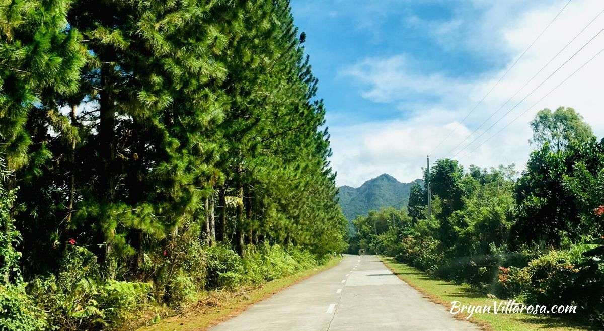 Campuestohan | Bacolod City Properties