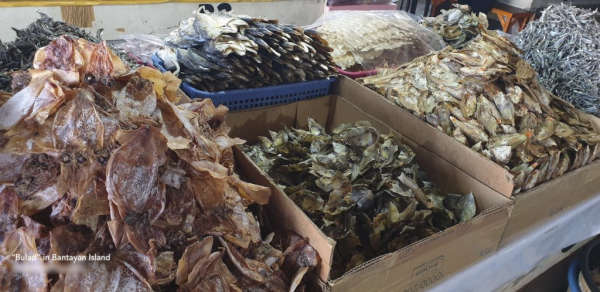 Bantayan Island - Bacolod City Properties