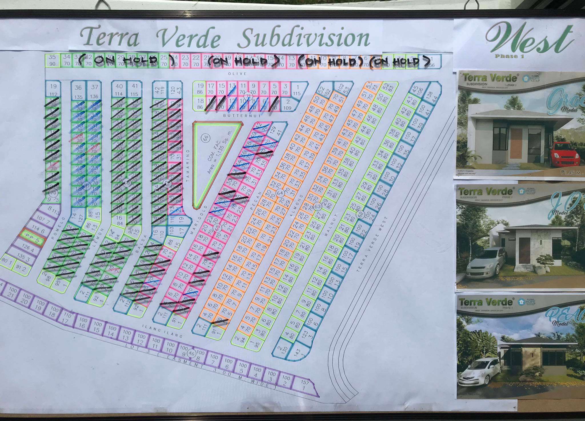 Terra Verde Subdivision, Brgy. Estefania, Bacolod City - Bacolod City ...
