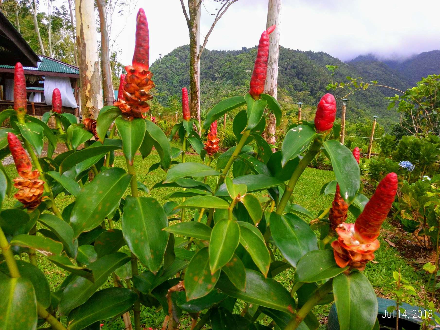 Lantawan View Silay - Bacolod City Properties