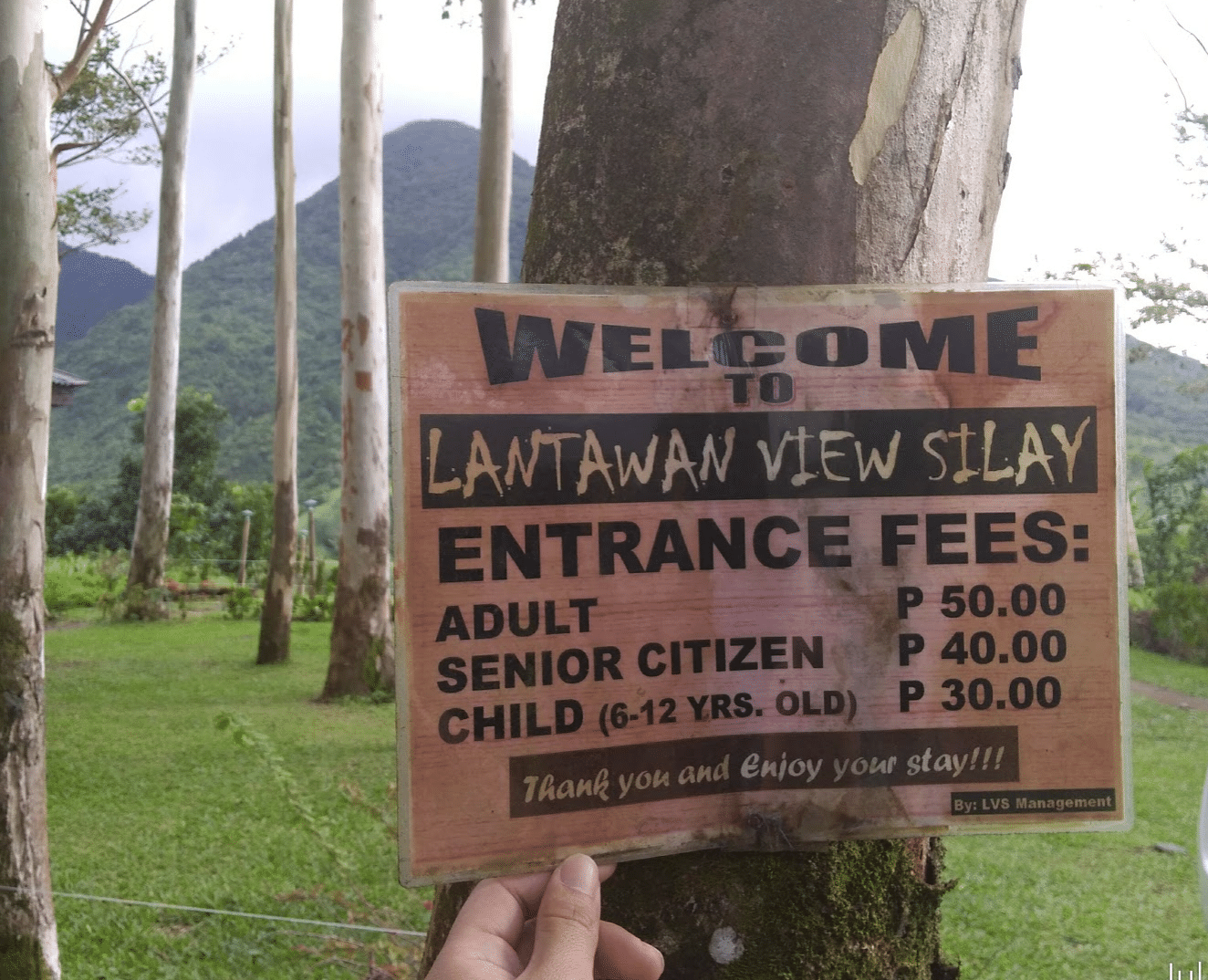 Lantawan View Silay - Bacolod City Properties