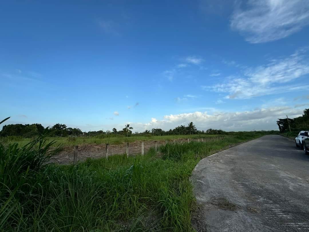 Lot for sale Silay City beside Airport - Bacolod City Properties
