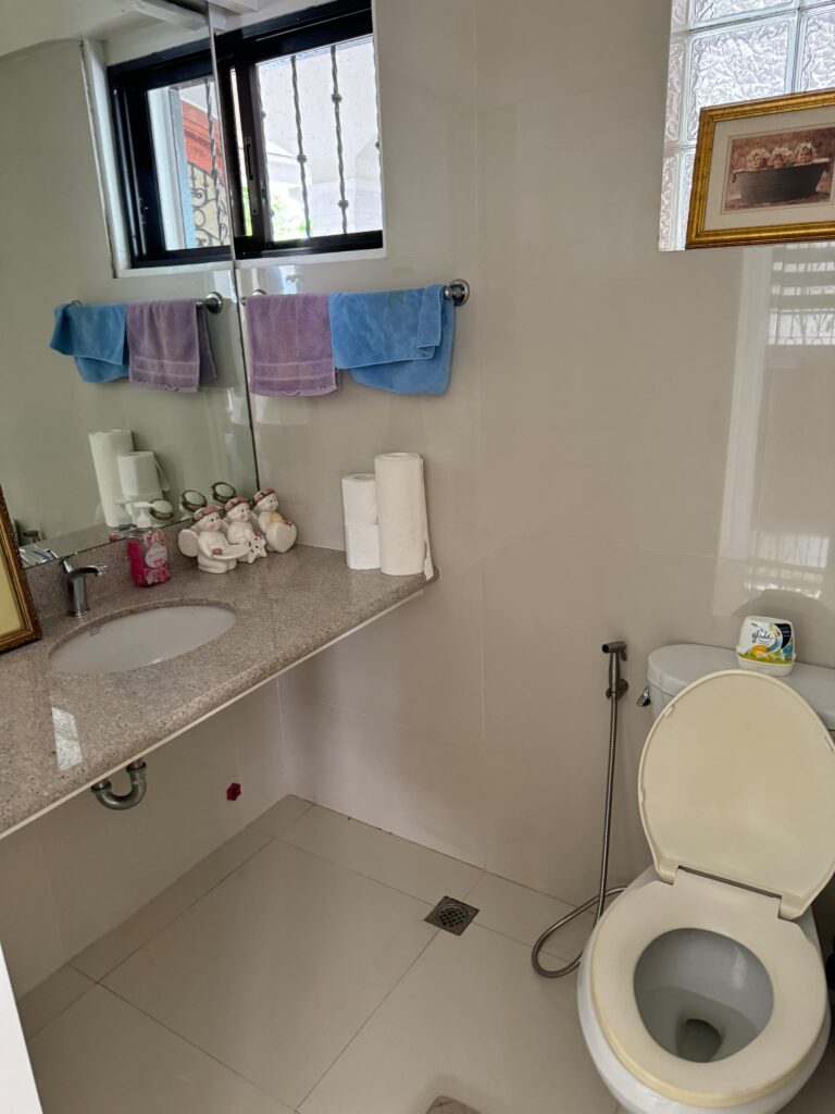 Ayala North Point House on a 489 sqm lot for sale - Bacolod City Properties