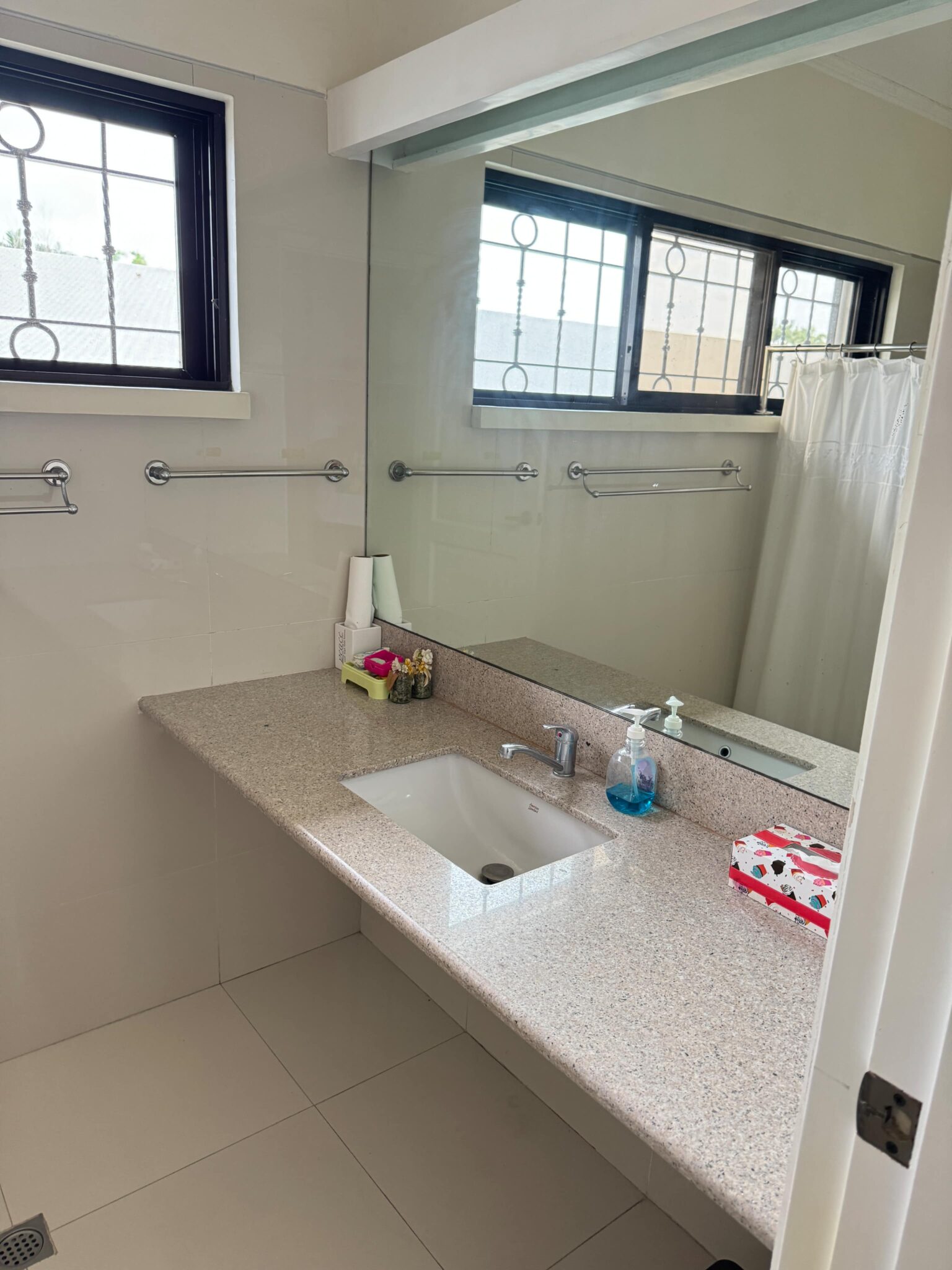 Ayala North Point House on a 489 sqm lot for sale - Bacolod City Properties