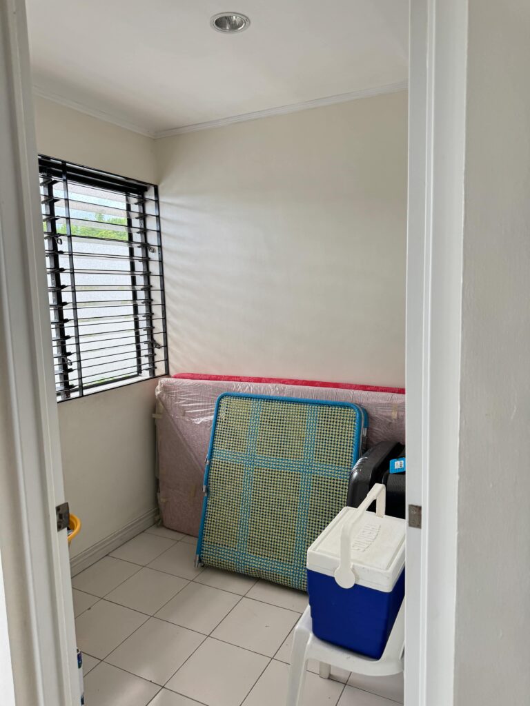 Ayala North Point House on a 489 sqm lot for sale - Bacolod City Properties