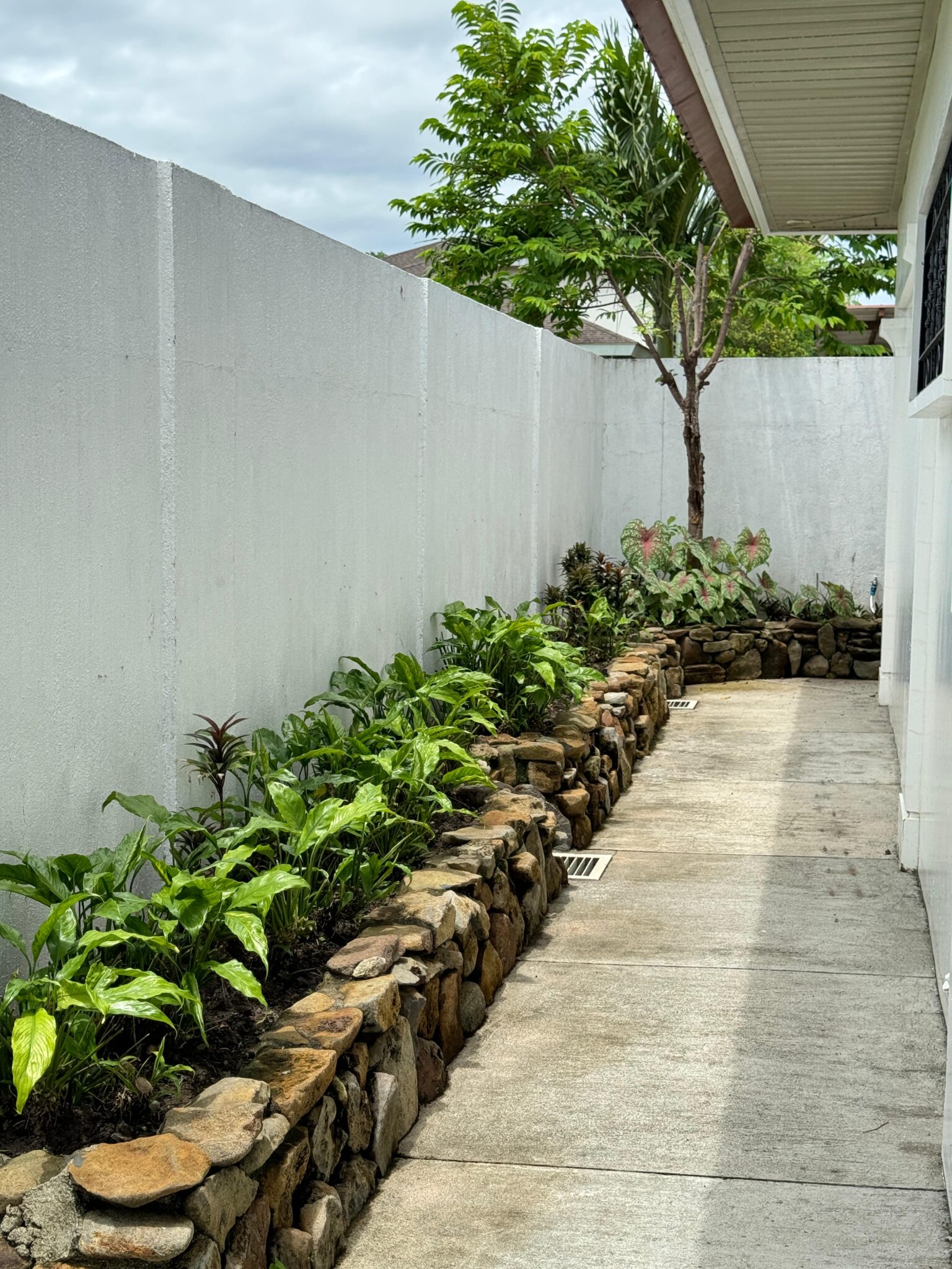 Ayala North Point House on a 489 sqm lot for sale - Bacolod City Properties