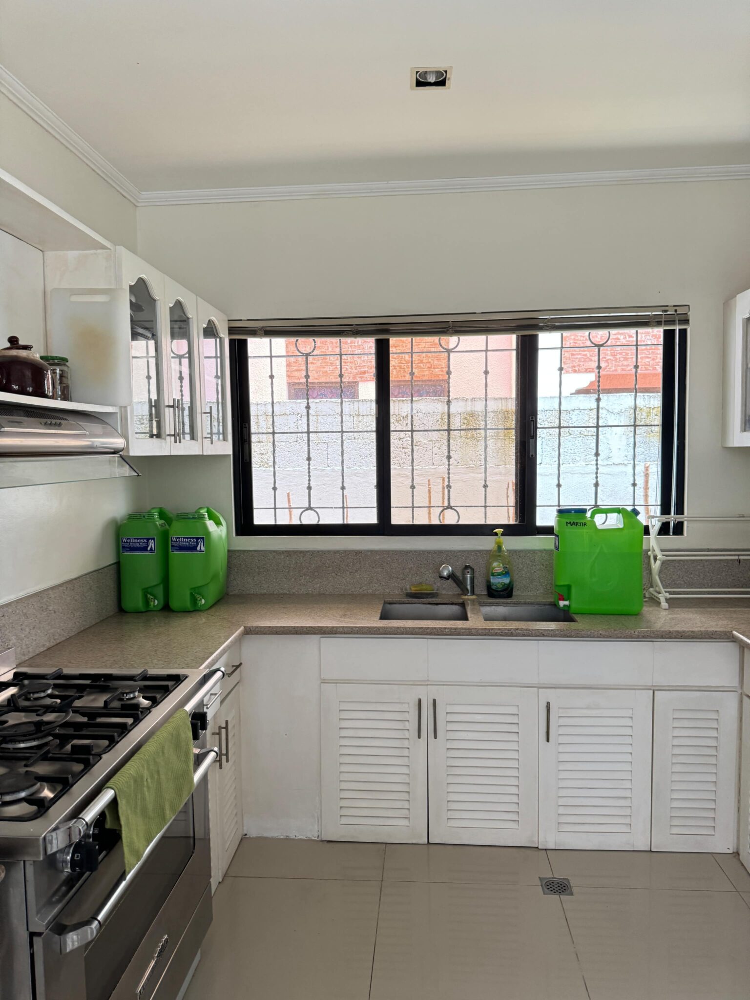 Ayala North Point House on a 489 sqm lot for sale - Bacolod City Properties