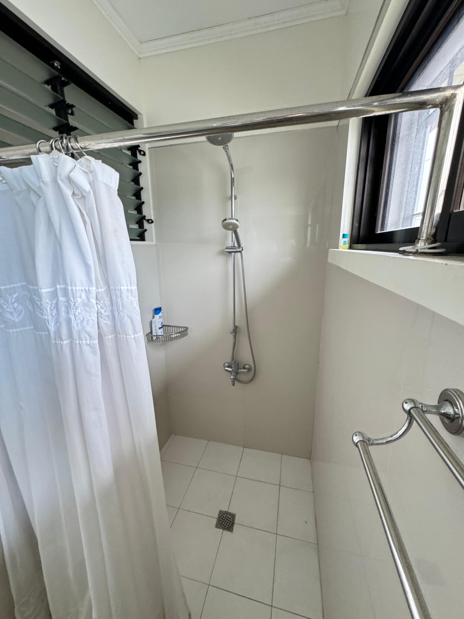 Ayala North Point House on a 489 sqm lot for sale - Bacolod City Properties