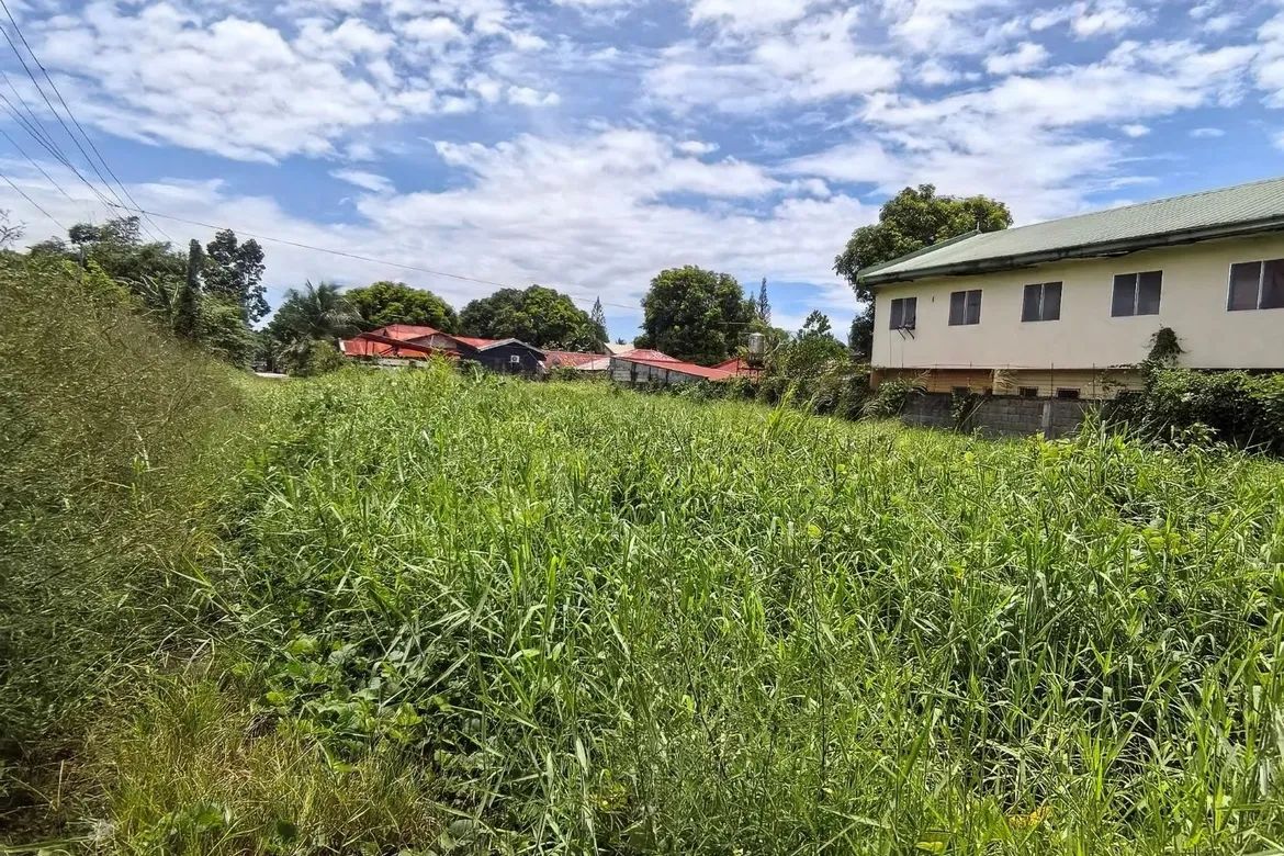 Bacolod City Lot for Sale – Rosario Heights Subdivision, Taculing ...